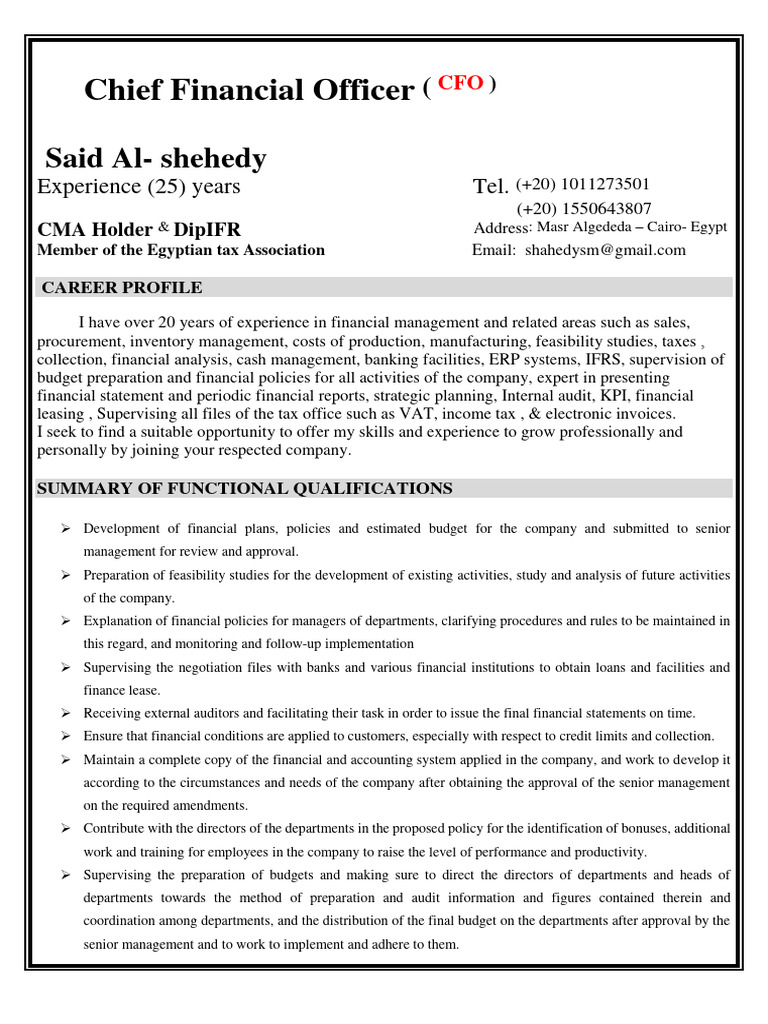 CV Said Al-Shahedy - English | PDF | Financial Statement | Balance Sheet