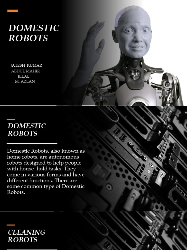 Domestic Robots | PDF