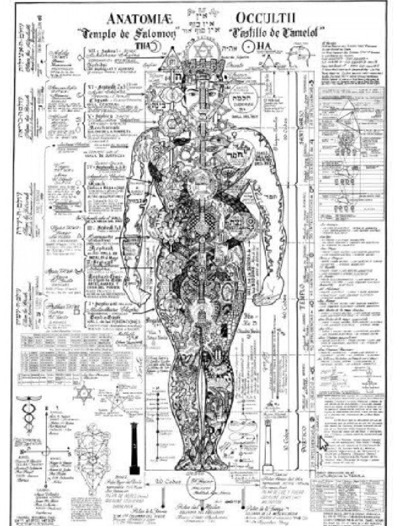 Anatomia Oculta | PDF