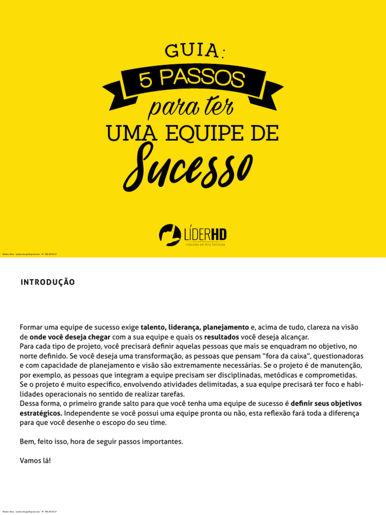 Cinco Passos Para Construir Uma Equipe De Sucesso Pdf Liderança