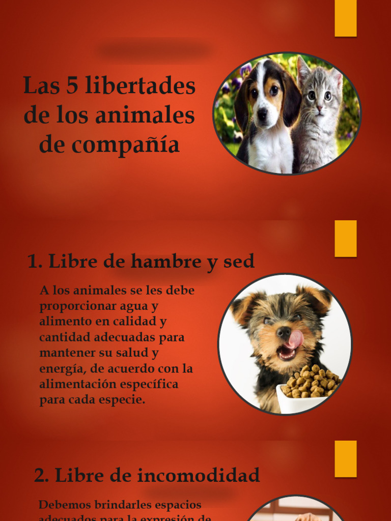 Las 5 Libertades del Bienestar Animal | PDF