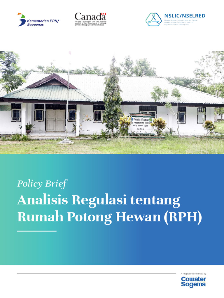 Policy Brief - RPH | PDF