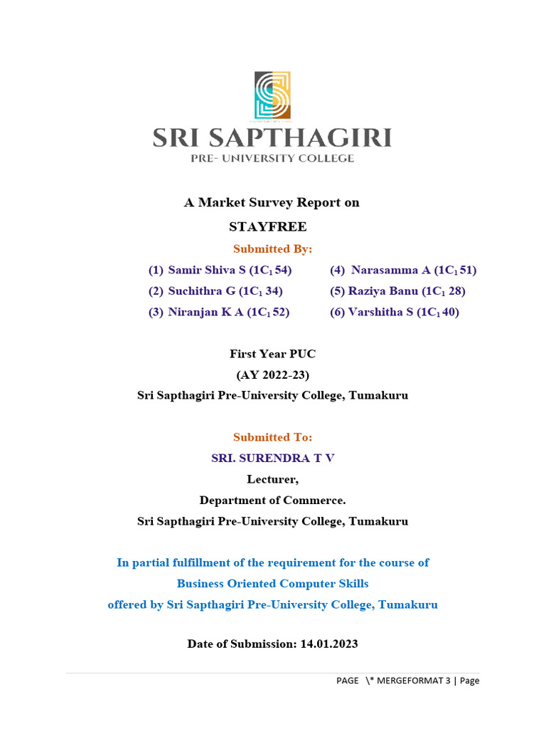 Stayfree Finels Report | PDF