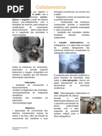 Análise de Pontos Craniométricos | PDF