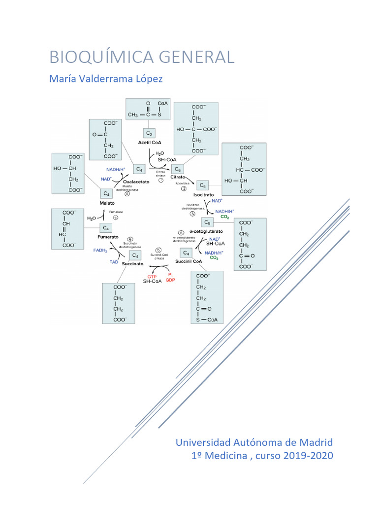 Bioquímica General - MARÍA VALDERRAMA | PDF