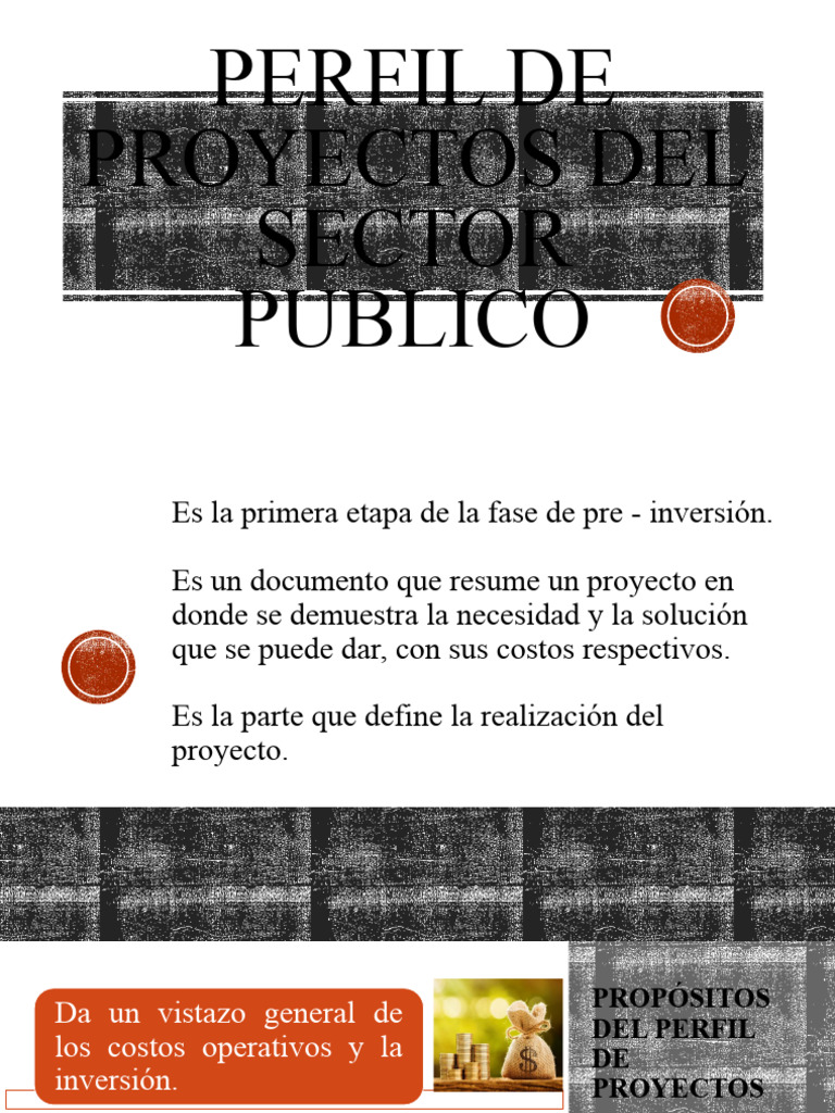 Perfil de Proyectos Del Sector Publico | PDF