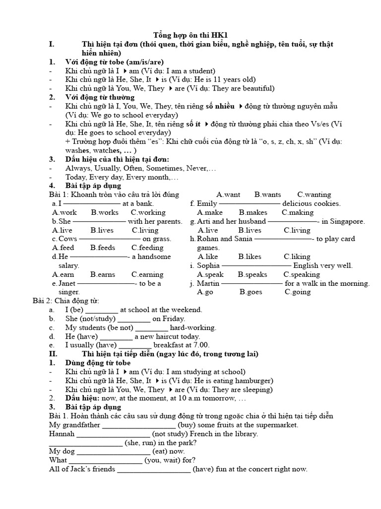 T NG H P Ôn Thi HK1 (Grade 6) | PDF