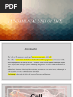 Cbse Class Ix Animal Tissue Flow Chart | PDF | Epithelium | Tissue ...