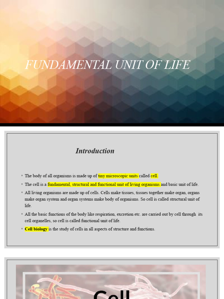 FUNDAMENTAL UNIT OF LIFE CLASS 9 PPT 1 | PDF | Cell (Biology) | Osmosis