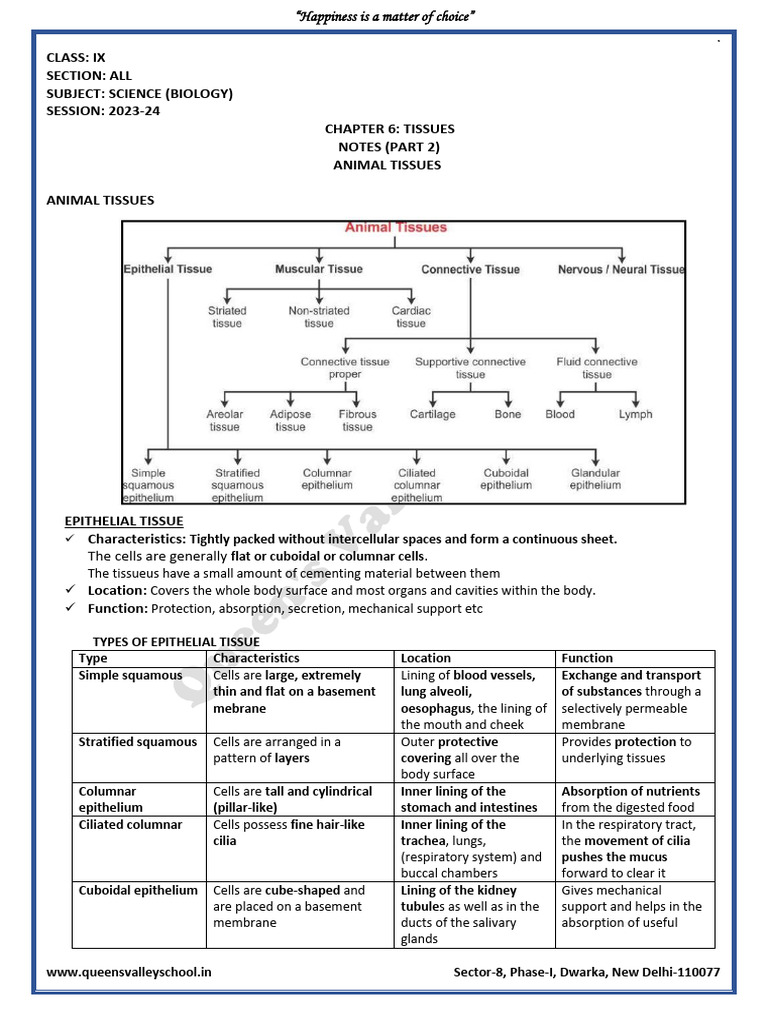 Class Ix - Science - Biology - Chapter 6 - Tissues (Animal Tissues ...