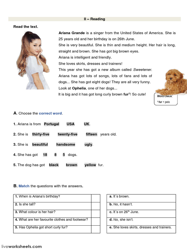 Ariana Grande Reading - Have Got and Description | PDF | Fashion | Clothing