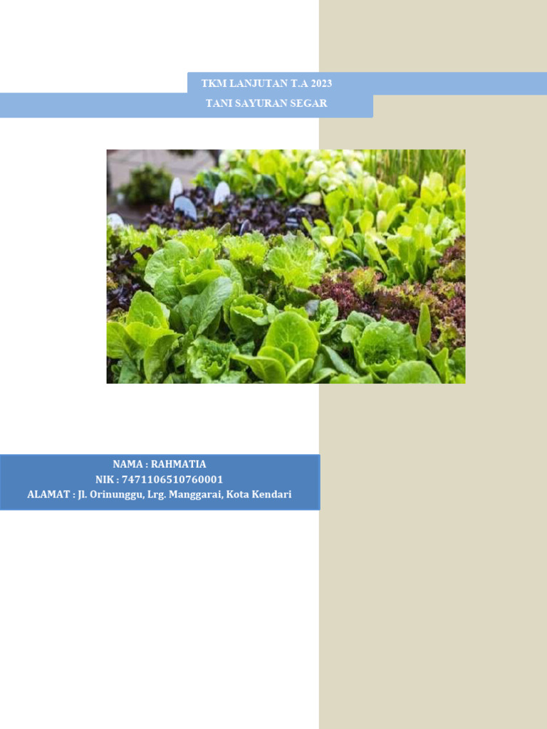 LPJ TKML Rahmatia | PDF