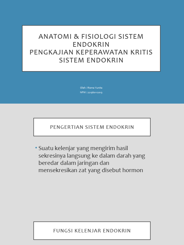 Anatomi & Fisiologi Sistem Endokrin | PDF