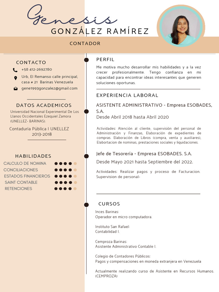 Curriculum Genesis | Descargar gratis PDF | Contador | Contabilidad