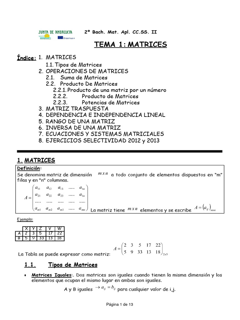 Tema 1matrices CCSS 2 | PDF | Matriz (Matemáticas) | Álgebra abstracta