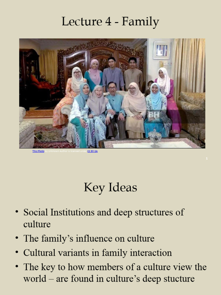 IC Lecture 4 Family | PDF | Family | Identity (Social Science)