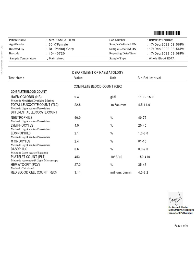 Complete Blood Count and Biochemistry Report | PDF | Creatinine ...