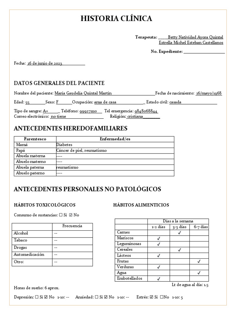 Historia Clinica | PDF | El embarazo | Enfermedades y trastornos
