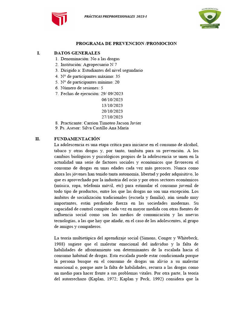 Esquema Programa Prevencion-Promocion | PDF | Comportamiento | Adolescencia