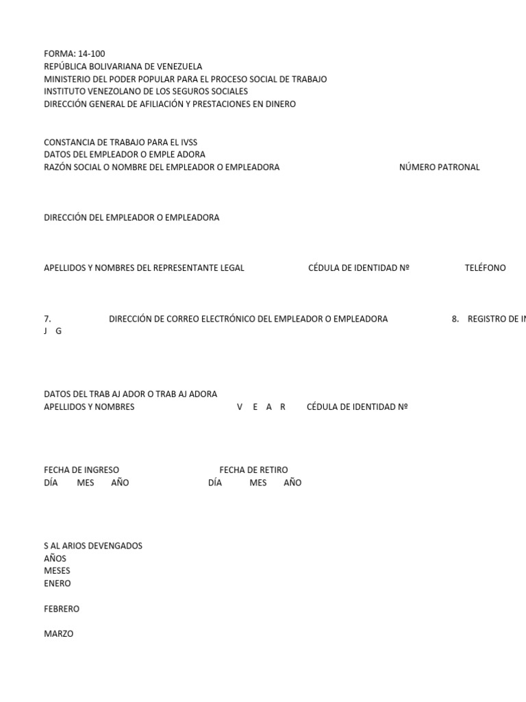 Formato IVss 14100 | PDF