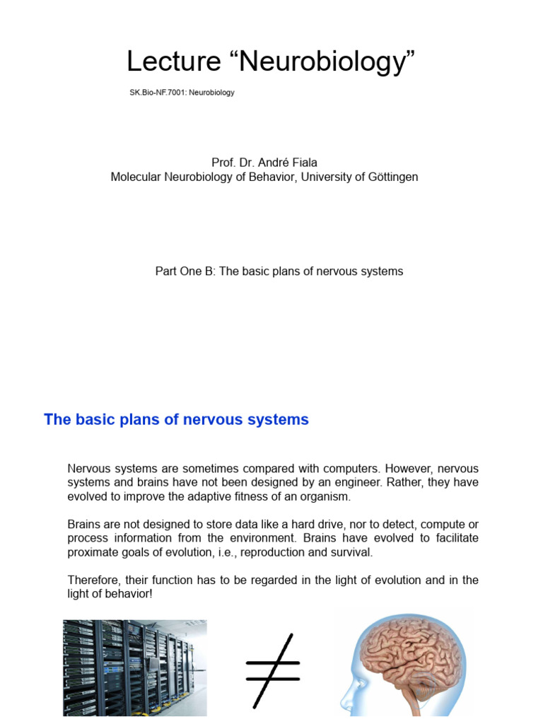 Neurobiology 1_B_Basic plans of Nervous systems | PDF