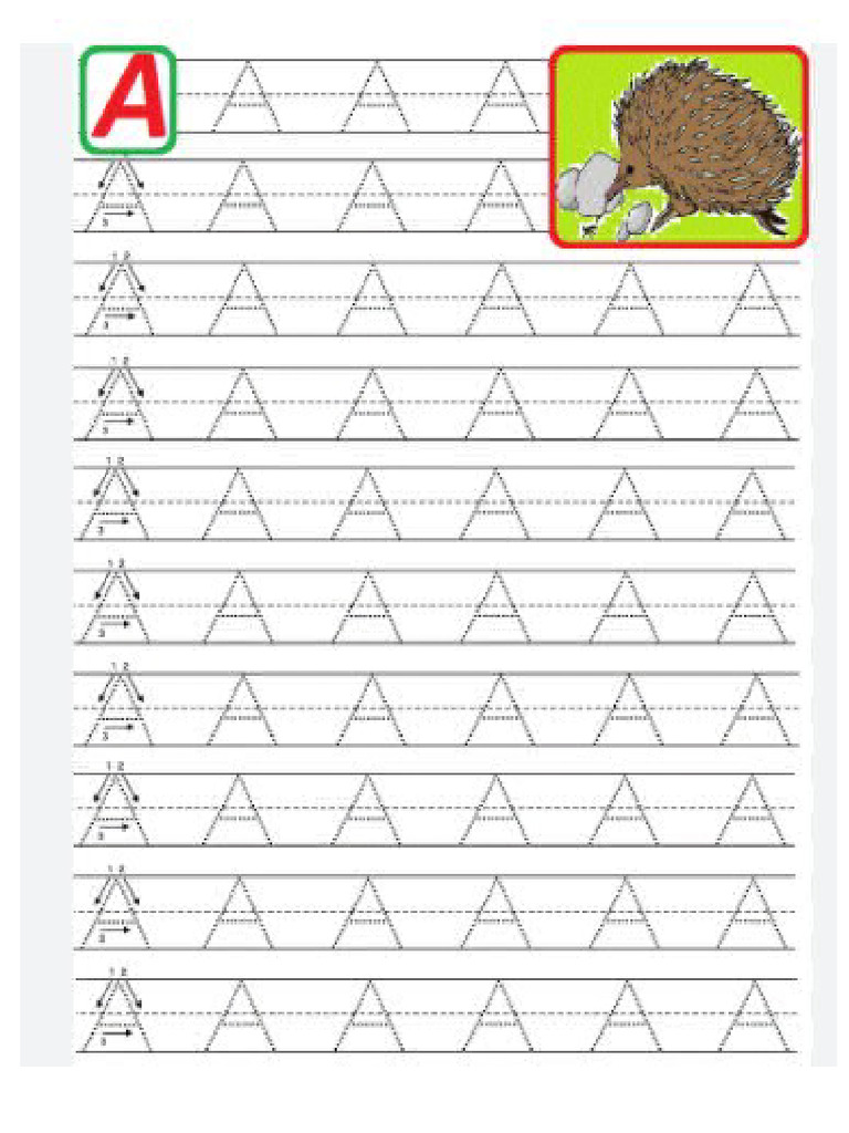 Litera A | PDF