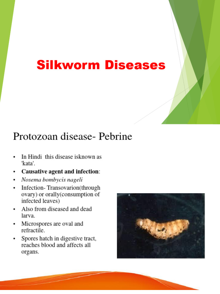 Silkworm diseases | PDF