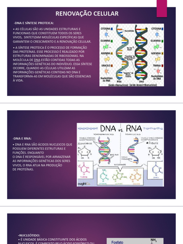 Estrutura e Função do DNA e RNA | PDF | RNA | DNA