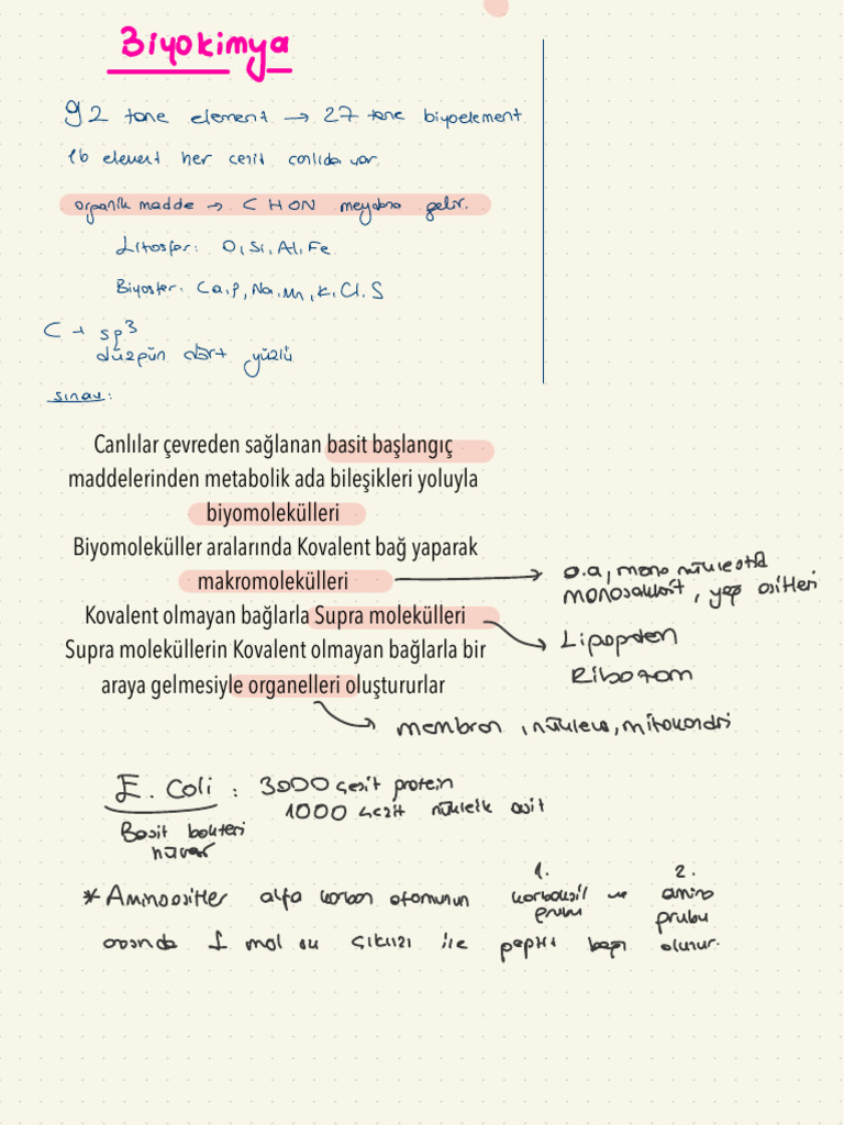 Biyokimya Son HFT | PDF