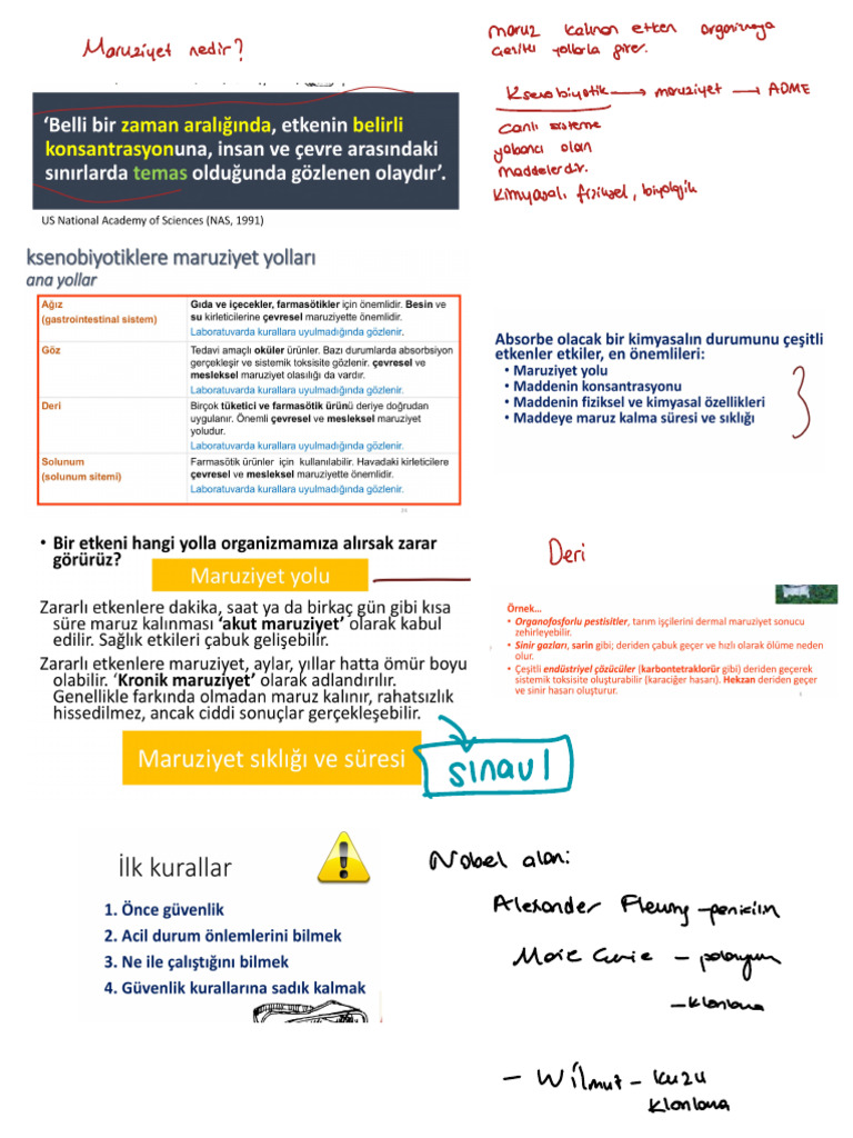 Lab Güv Vize? 2 | PDF