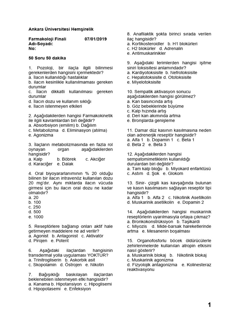 HemÅ Irelik Ã Rnek Sorular | PDF