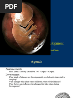 TC MIM Based Assessment Form | PDF | Play Therapy | Nonverbal Communication
