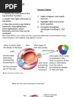 IGCSE 0610 - EYES Sense Organs NOTES (2023-2025) | PDF | Eye | Retina