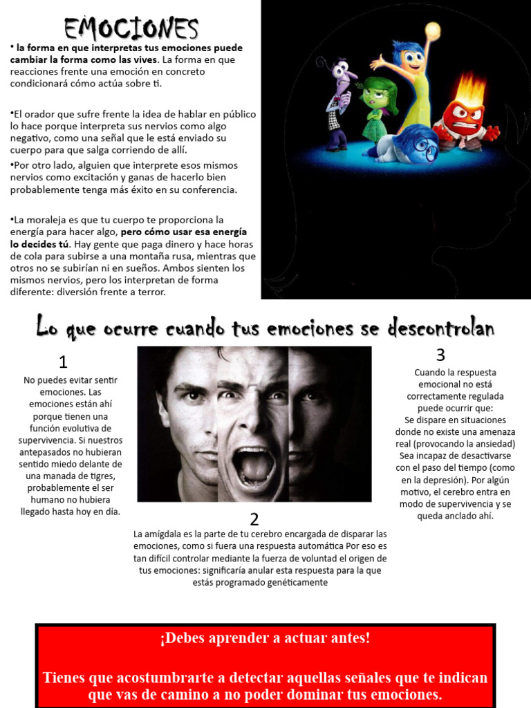 Regulación De Emociones Pdf Las Emociones Temor