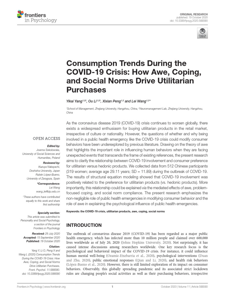 Awe, Coping, Social Norms - Drivers of Utilitarian Purchases | PDF ...