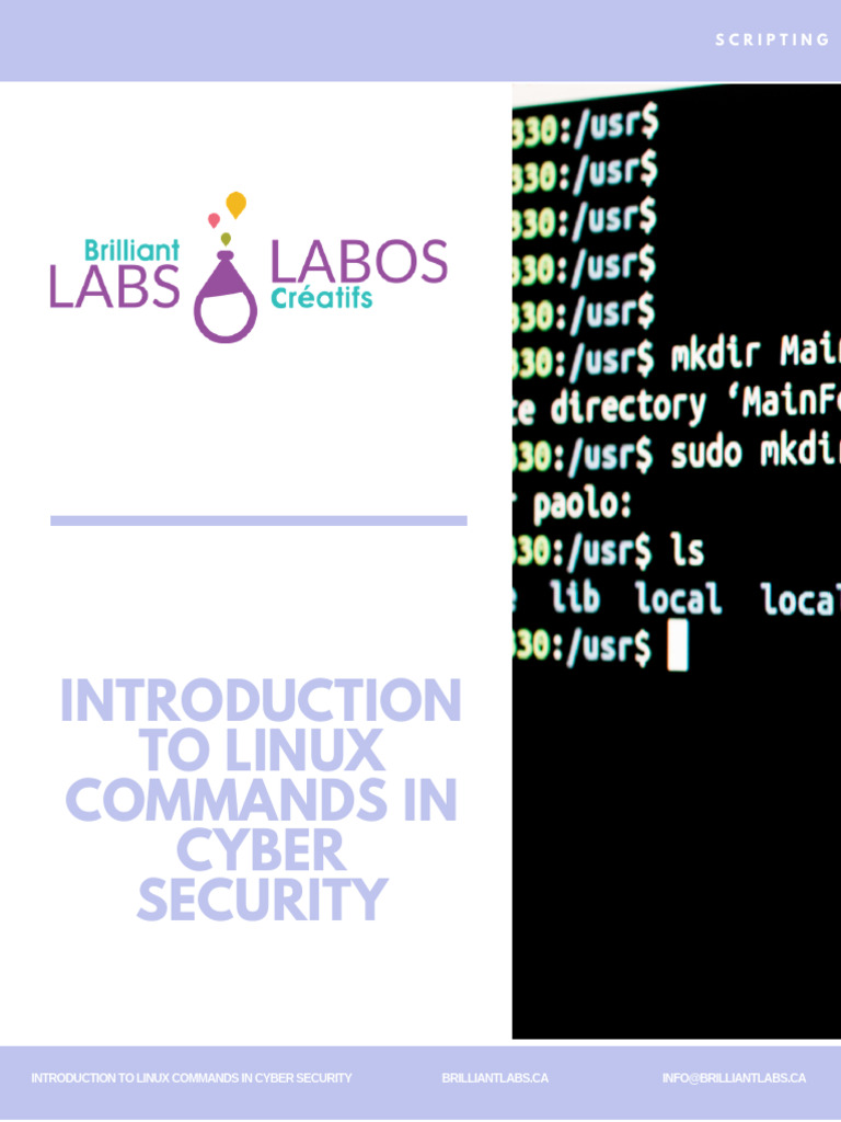 Introduction To Linux Commands in Cyber Security | Download Free PDF | Text File | Computer Security