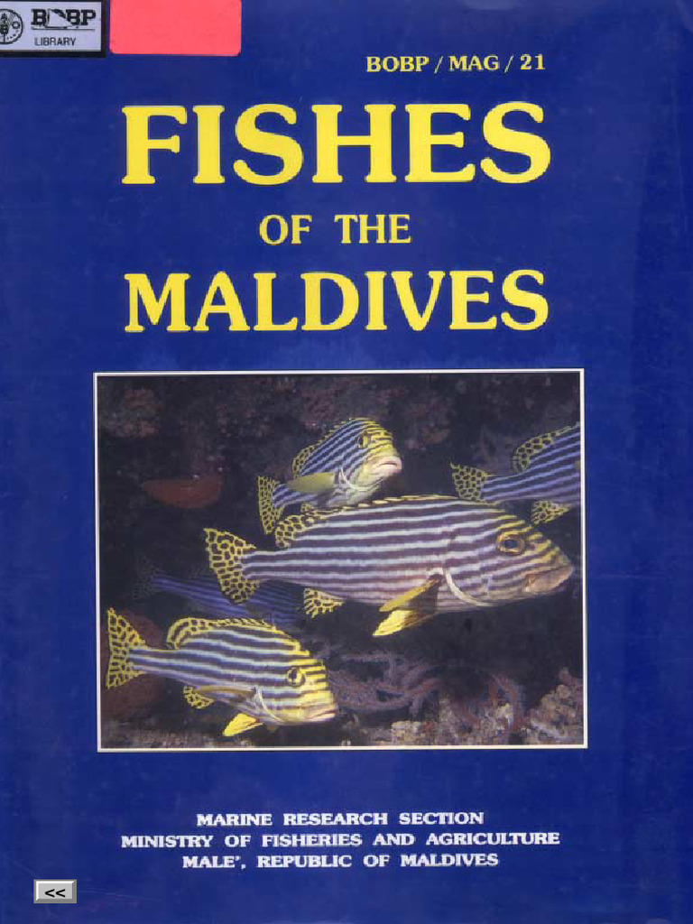 Fishes of the Maldives: A Comprehensive Guide | PDF
