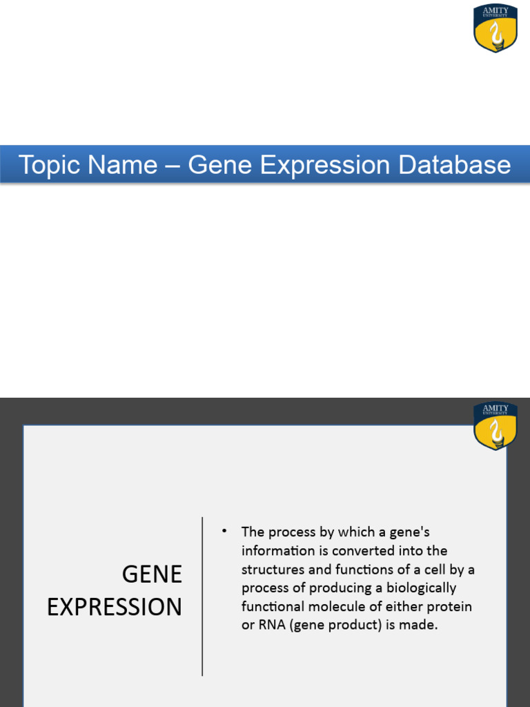 Lecture 6 Gene Expression Database | PDF