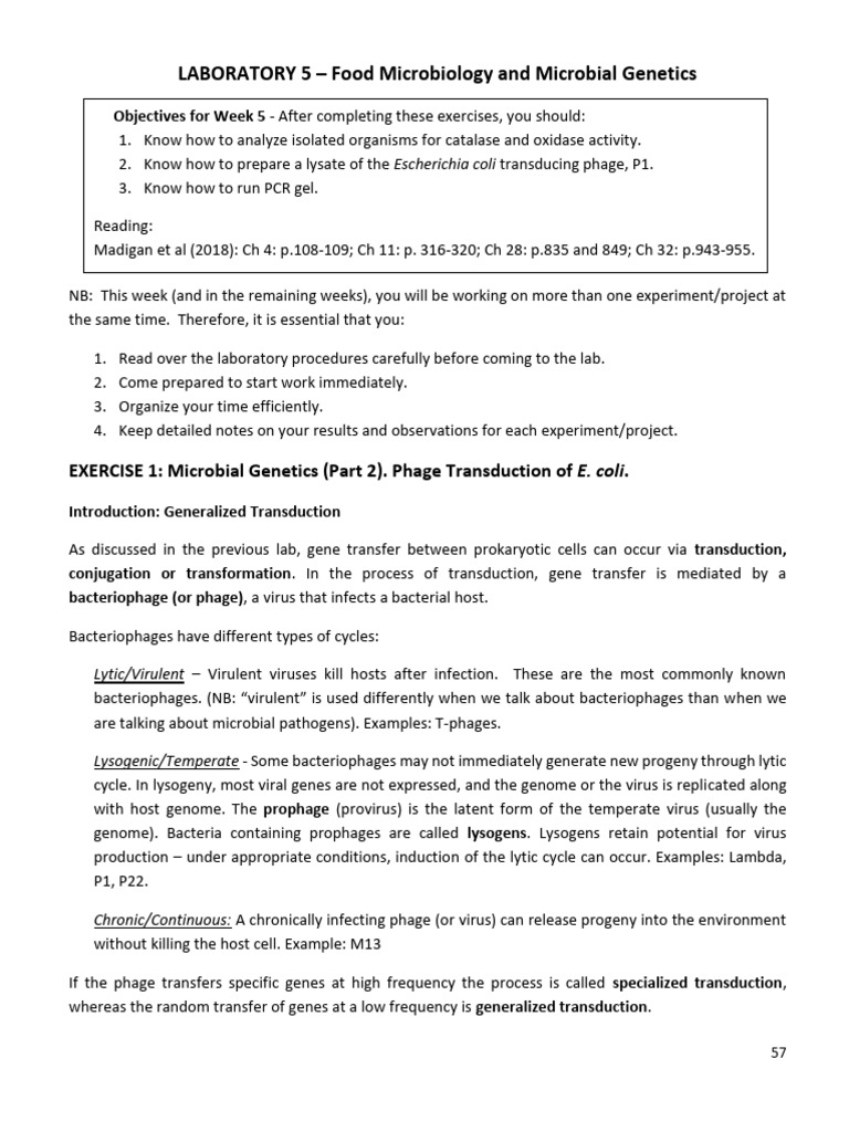 Food Microbiology & Genetics Lab 5 | PDF | Microbiology | Life Sciences
