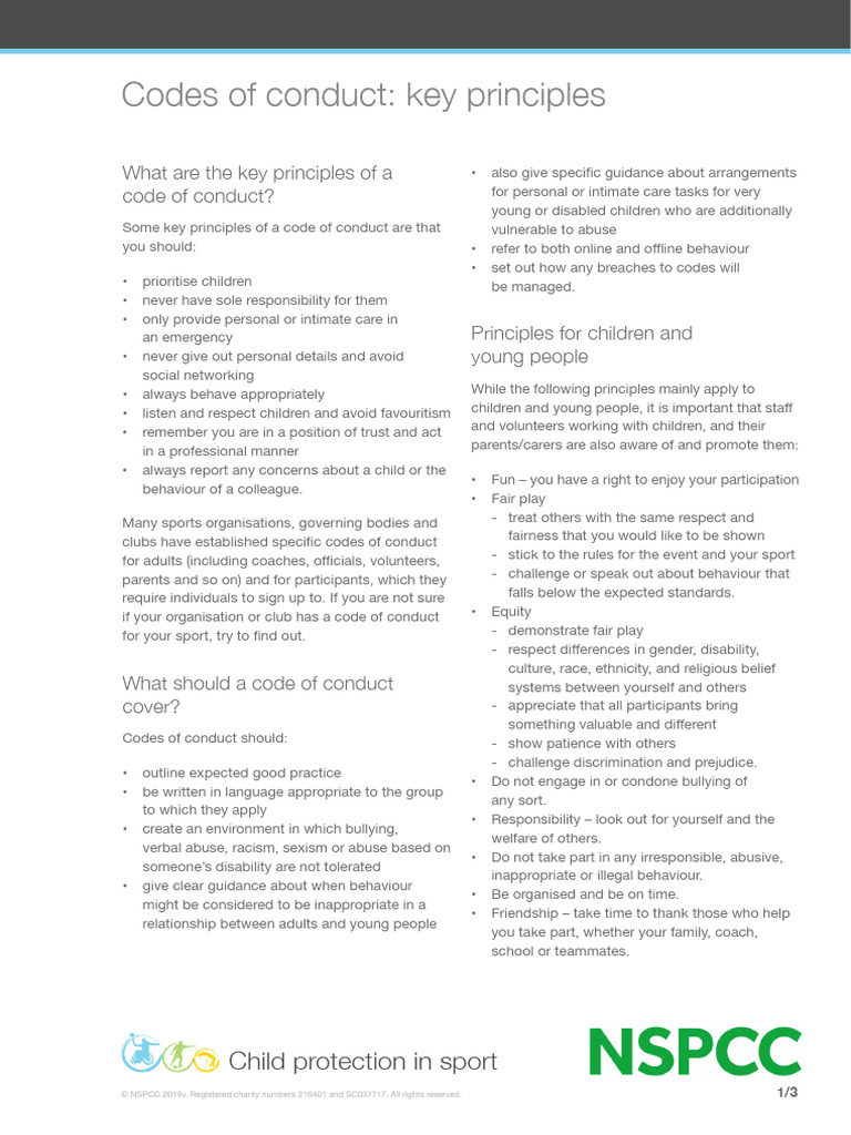 Codes of Conduct Key Principles | PDF