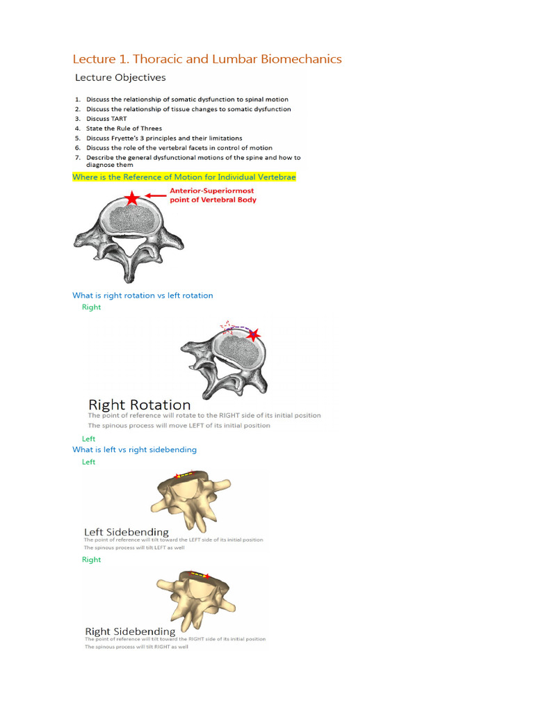 Fryette's Laws and Spinal Biomechanics | PDF | Wellness | Science ...