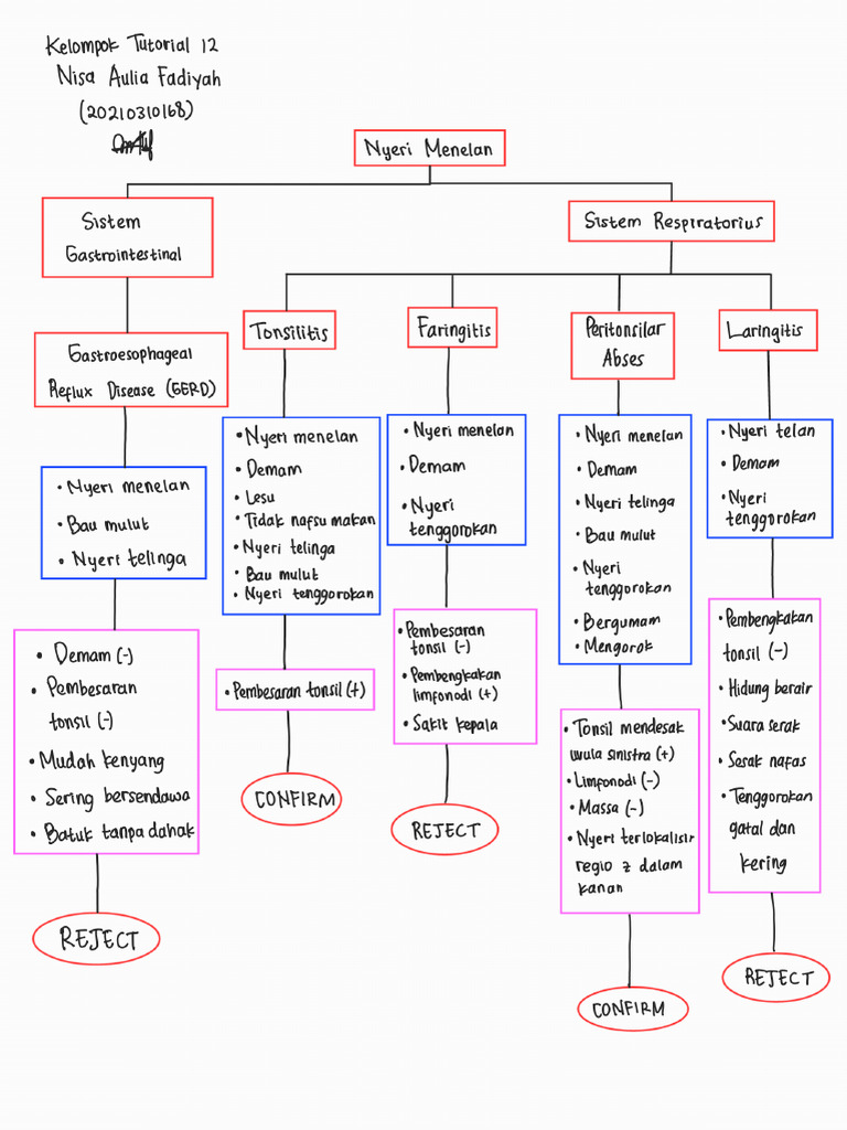 Nisa Aulia Fadiyah - 168 - Konsep Map 1 Blok 17 | PDF