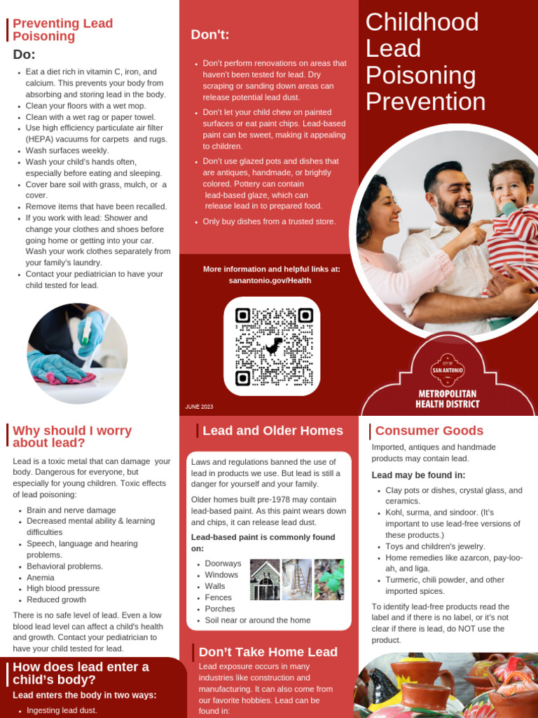 Lead Prevention Brochure | PDF | Lead | Materials