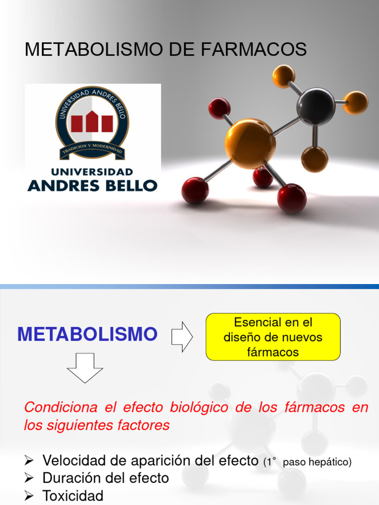FQ1 Metabolismo | PDF | Citocromo P450 | Química