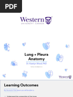 The Radiology Assistant - Lung Segments and Bronchi | PDF | Lung ...