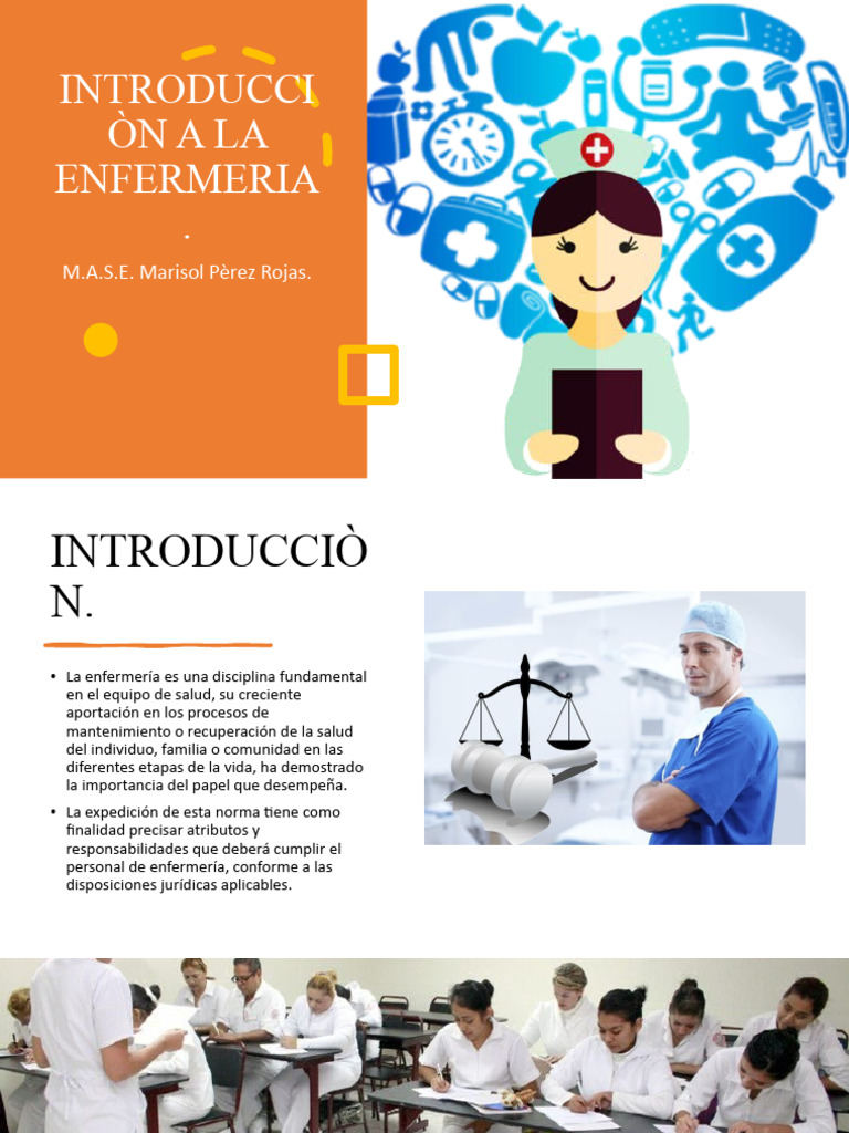 Introducción a La Enfermeria | PDF
