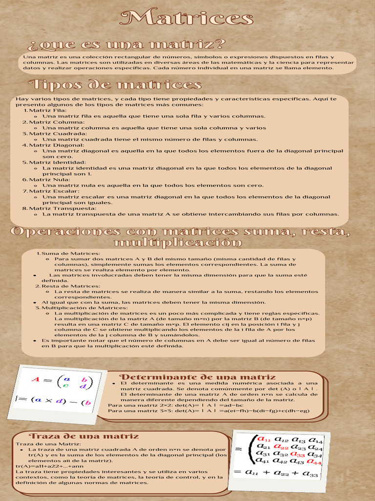 Infografia Matrices | PDF | Matriz (Matemáticas) | Determinante