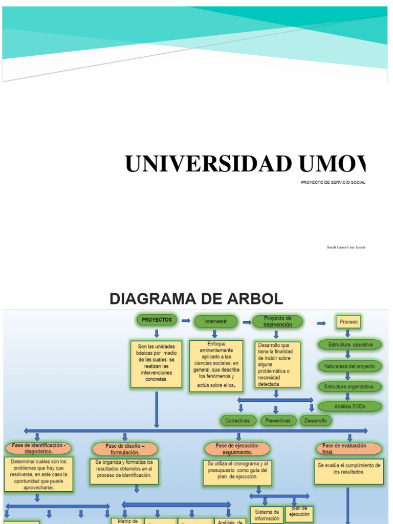 Proyecto de Servicio Social UMOV | PDF