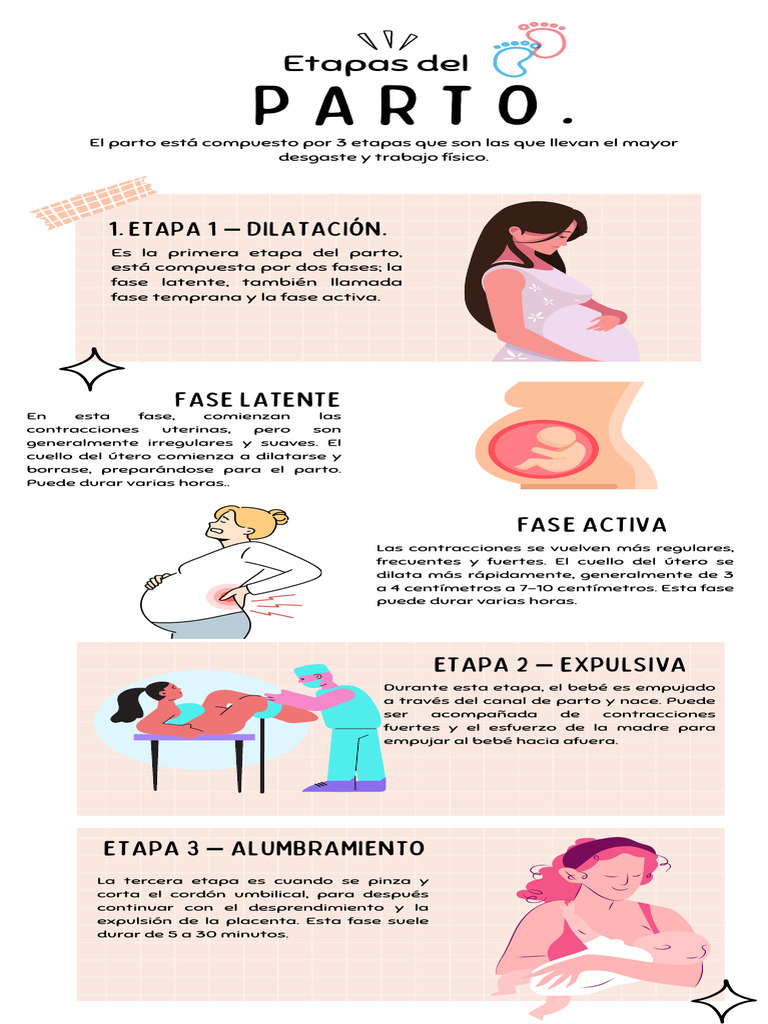 Etapas del Parto: Dilatación y Expulsión | PDF