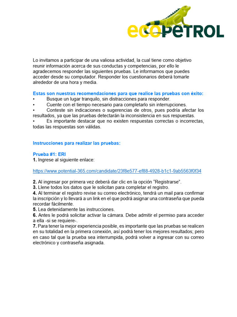 Instructivo Profesionales | PDF
